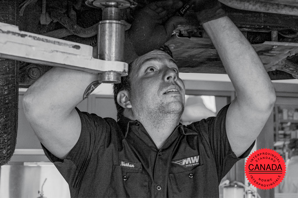 Motor Werke Team - Motor Werke